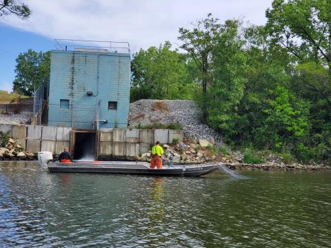 No invasive carp found during intensive monitoring in Chicago Area ...
